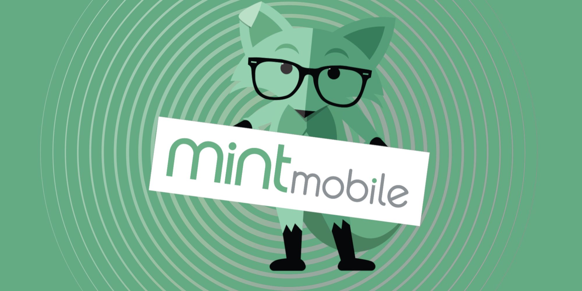 Ditching the Frills, Embracing Simplicity: A Comprehensive Look at Mint ...