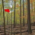 Atlanta Area Codes: A Comprehensive Guide To The City's Telephonic ...