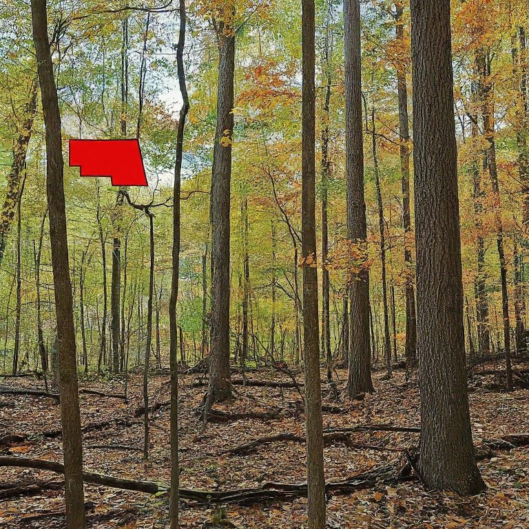 Atlanta Area Codes: A Comprehensive Guide to the City's Telephonic ...