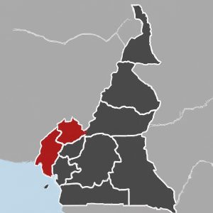 The 237 Area Code: An Exclusive Look at Cameroon’s Telecommunication ...