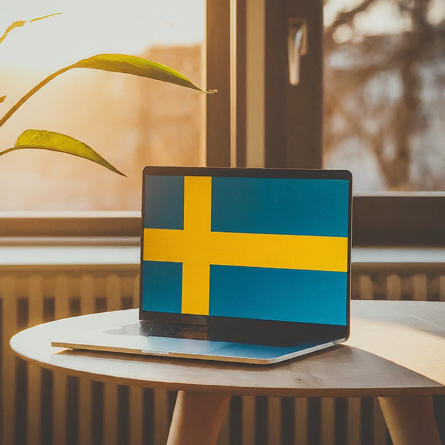  46 Country Code Which Country Answer Sweden 