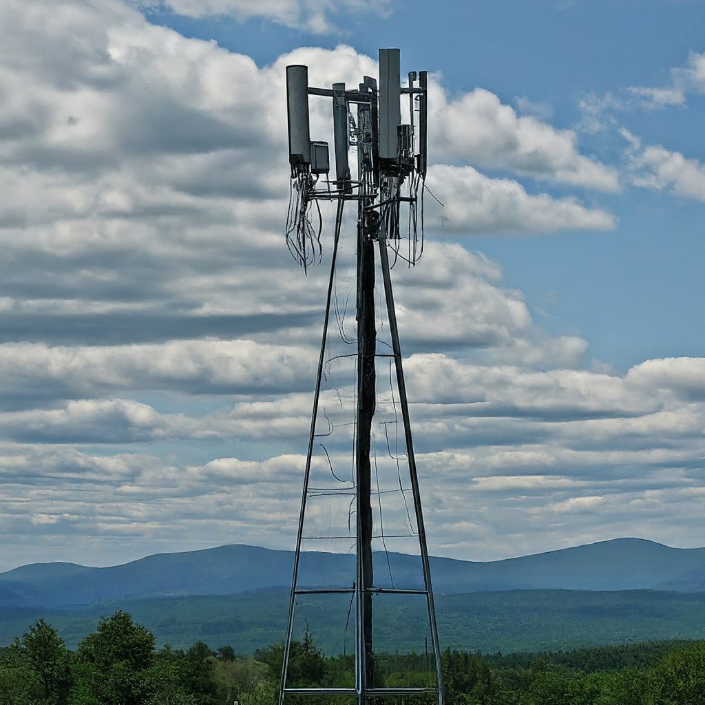 Magnolia: The Internet Provider That's Blooming